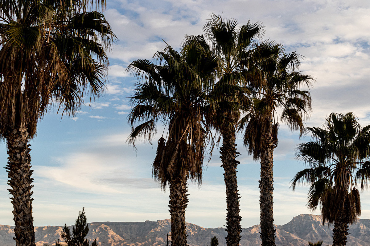 Mesquite Branding | Web Design, Marketing & Branding for Nevada